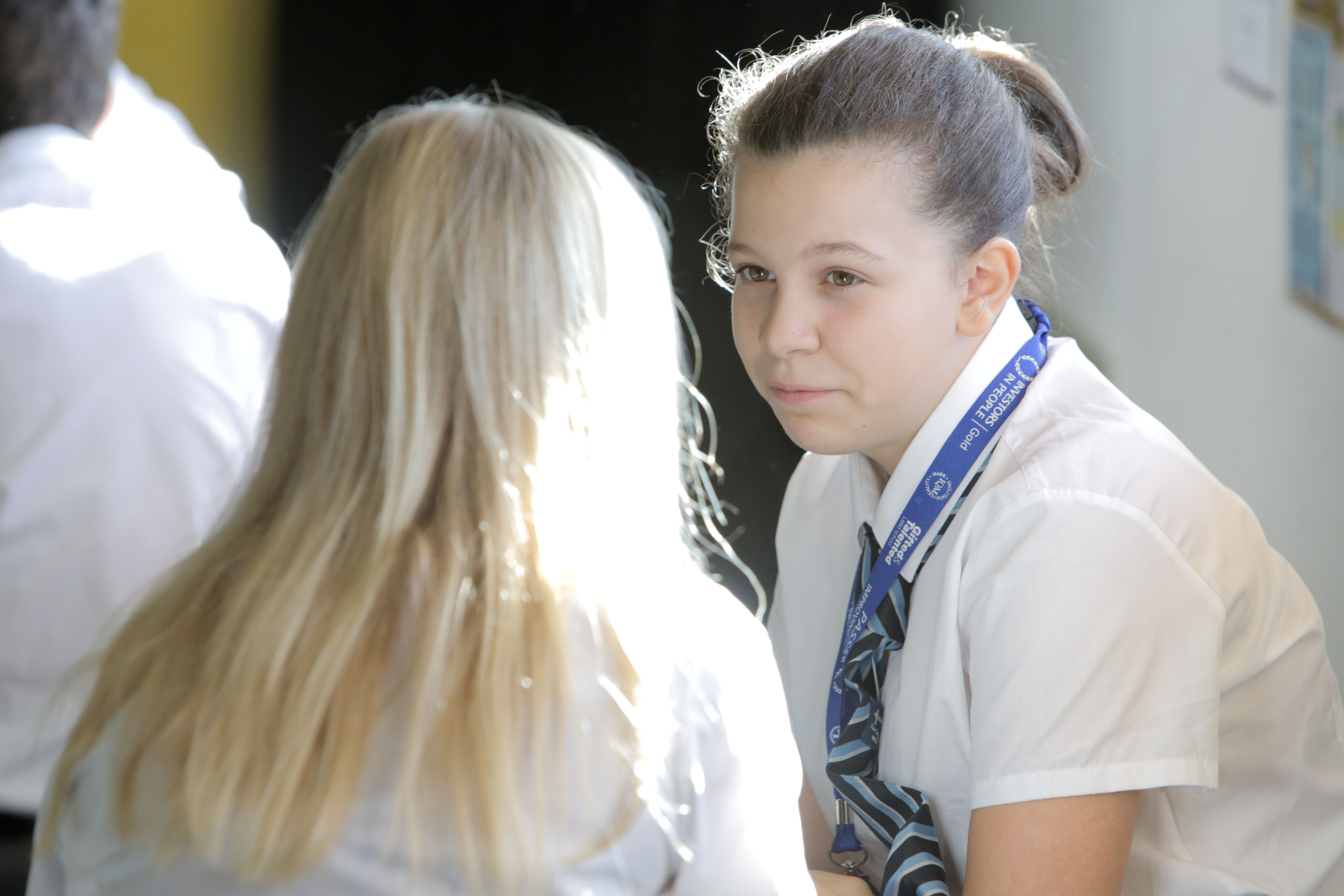 Best practice framework to help schools to promote social and emotional ...